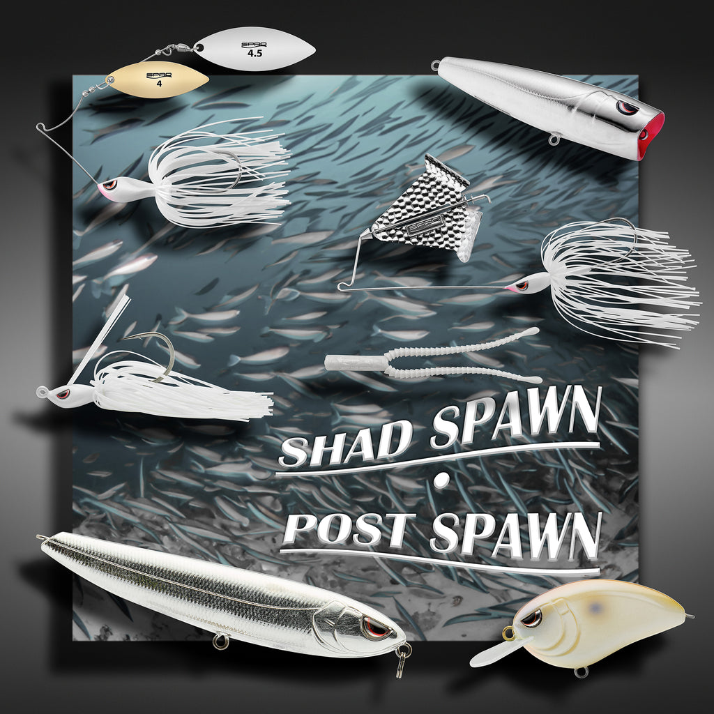 Shad Spawn • Post Spawn – SPRO Sports Professionals